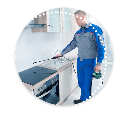 Home Pest Control - Atlanta's Best Pest Control - Clever Solutions Pest ...